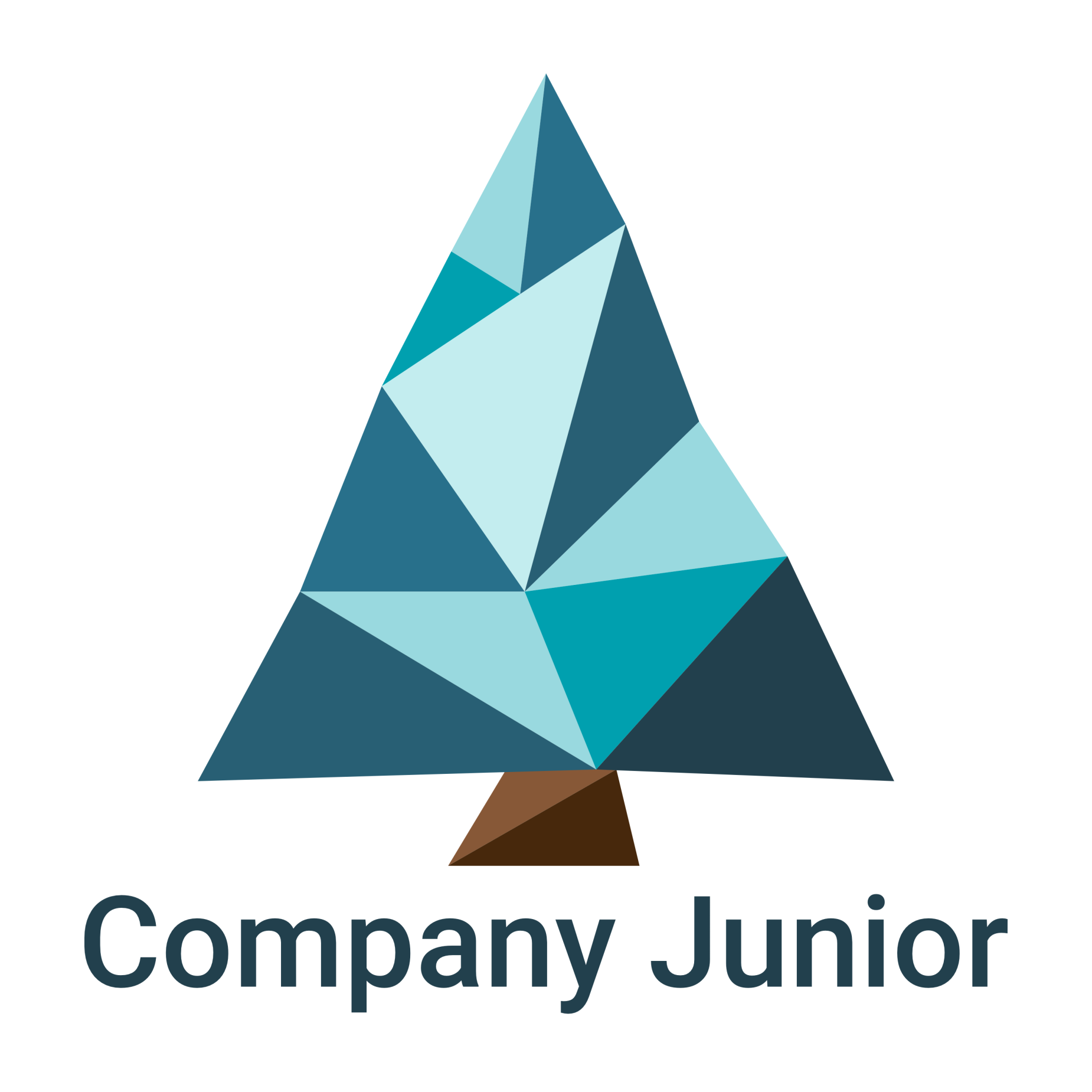 Company Junior – Learning Hub